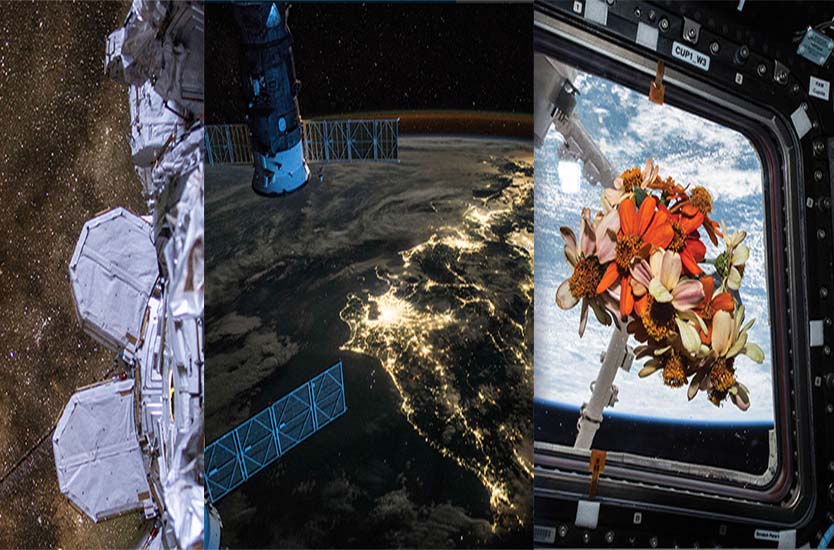 Space Biology Research Highlights